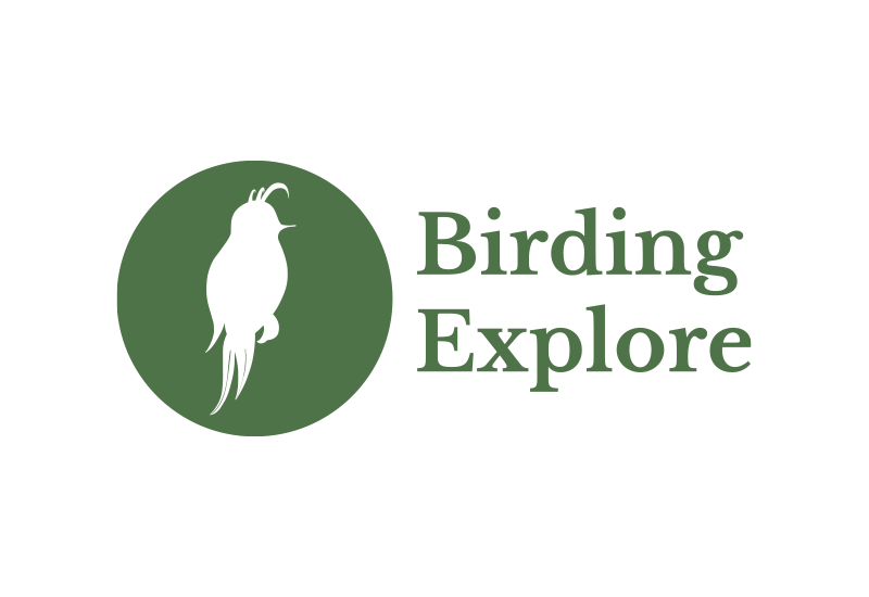 Birding Explore - Land of Birds - Ecuador